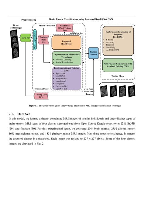 brain tumor mri classification using a novel deep residual and regional cnn deepai