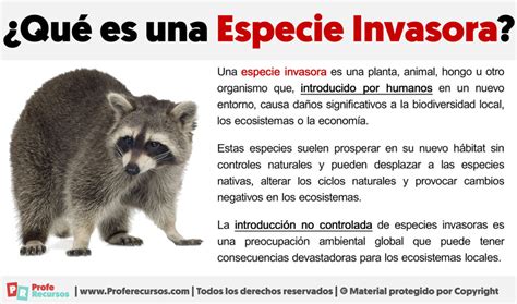 Qué es una Especie Invasora Definición y 5 Ejemplos