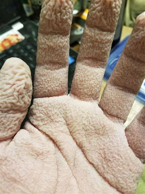16 Cosas muy difíciles de encontrar que podrás ver aquí hoy Genial