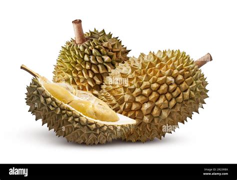 Durian Fruit Isolated On White Background Stock Photo Alamy