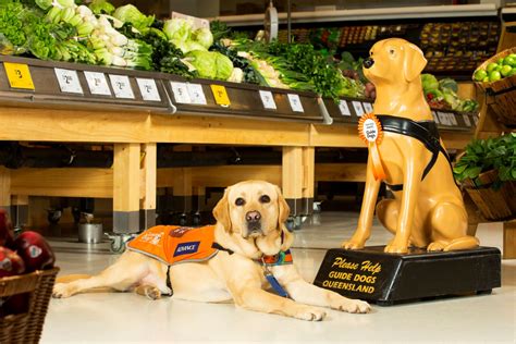 Media Releases Coles Group