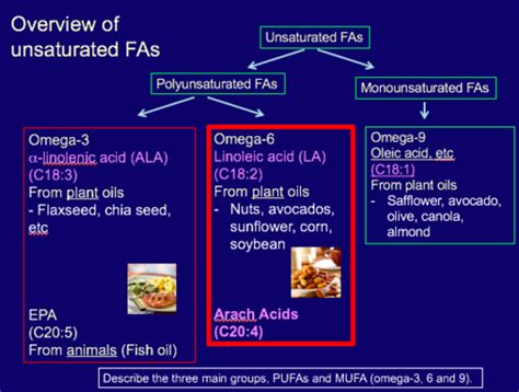 Lipid Flashcards Quizlet