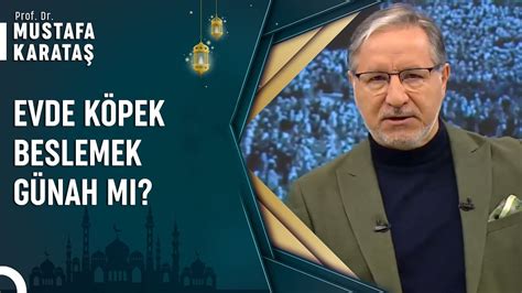 Hayvanın Yaşadığı Yerde İbadet Kabul Olur Mu Prof Dr Mustafa