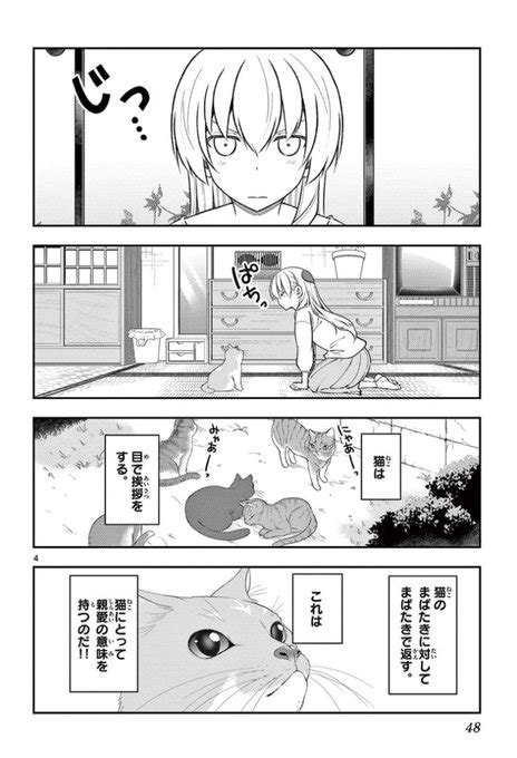 本日猫の日 猫好きも必見 トニカクカワイイ19巻発売中です 少年サンデー よしなか さんのマンガ ツイコミ 仮
