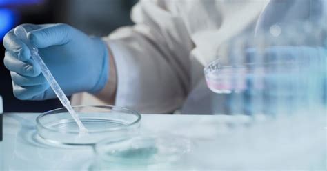 Ventajas Y Desventajas De La Reproducci N Asistida Vita Medicina