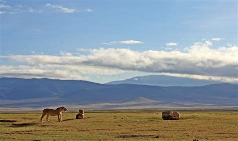 3 Days Ngorongoro Crater Safari