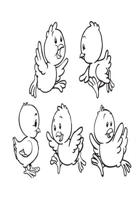 Dibujos De Pollitos Para Colorear E Imprimir Dibujos Para Ni Os