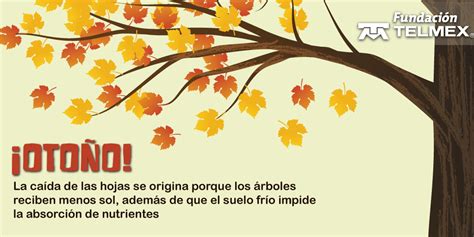 Details 48 por qué se caen las hojas de los árboles Abzlocal mx