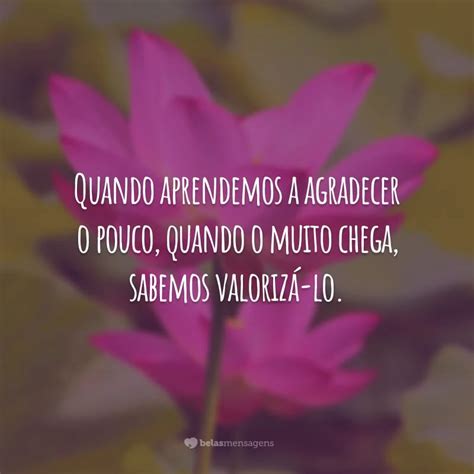 45 frases de reflexão sobre gratidão para ser mais grato pelo que tem
