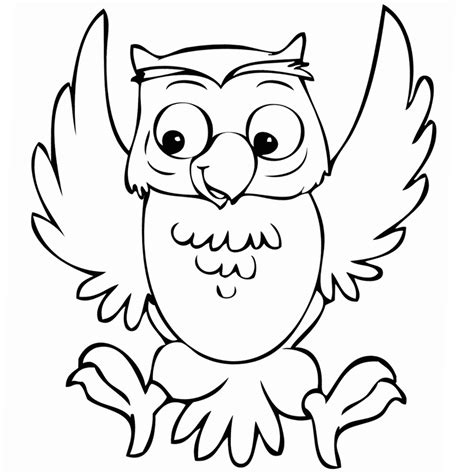 Coruja Para Colorir 22 Imagens PNG