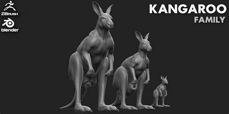 Kangaroo Female Topology UV Map Blender Market