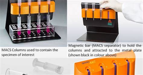 Haematology In A NutShell PBMC Isolation Using The Miltenyi Biotec