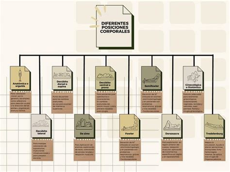 Diferentes Posiciones Corporales Issabella Capataz UDocz