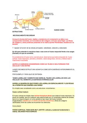 Osteocinematica Y Artrocinematica OSTEOCINEMATICA MACROMOVIMIENTOS
