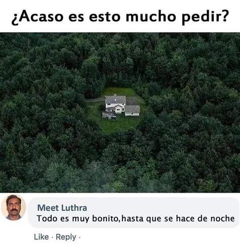 Pin de º ღ Yu Löt en Sarcasmo frases Sarcasmo