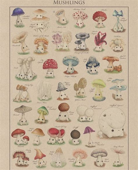 Pin By Ana Lilia On Fondos Cute Doodle Art Mushroom Drawing Cute
