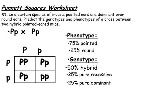Mendelian Genetics And Punnett Squares 51 Off