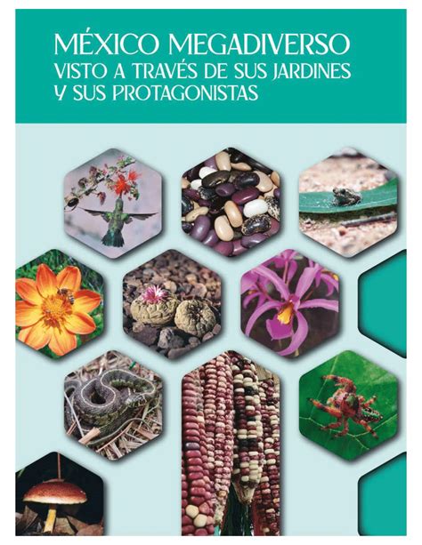 PDF Jardín Etnobiológico La Campana un promotor del patrimonio