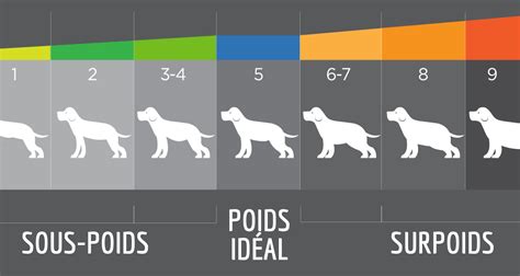 Calculateur De Poids Chiots Et Chiens Adultes Calcul Poids Id Al
