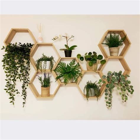 A Wall Mounted Shelf Filled With Potted Plants On Top Of Wooden