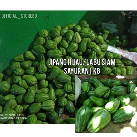 Jual LABU SIAM JIPANG HIJAU MANIS SAYURAN 1 KG Shopee Indonesia