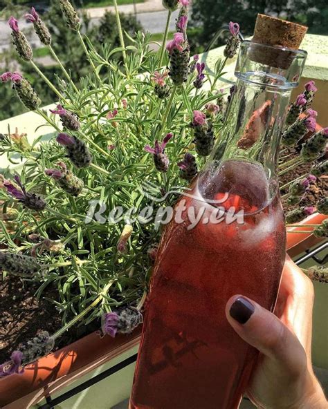 ᐉ Levandulový sirup recepty eu