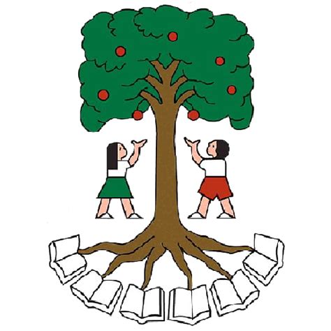 Telebachillerato Libros Conaliteg