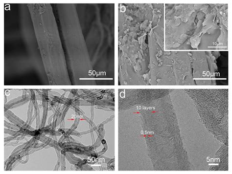 Polymers Free Full Text Lignocellulose Chitosan Multiwalled Carbon