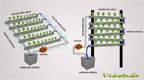 HIDROPONIA SISTEMA NFT Hydroponics Backyard Aquaponics Garden