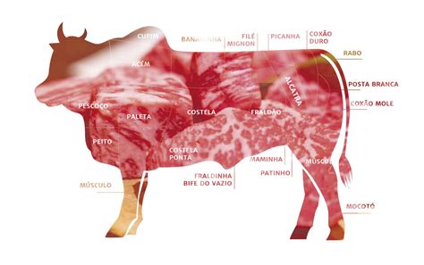 Dicas Sobre Cortes De Carne Dicas De Como Comprar E Preparar