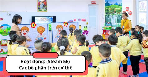 Top với hơn 67 về mô hình theo bộ phận coedo vn