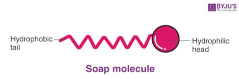 Compare Soaps And Detergents On The Basis Of Their Composition And