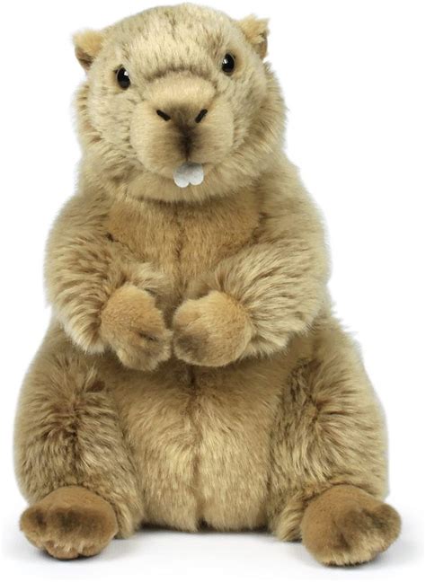 Los Mejores Peluches De Marmotas Pelucheman A