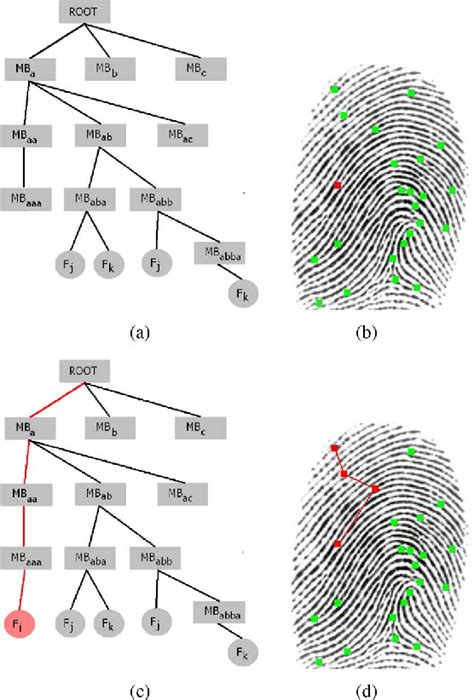 figure 5 from a framework for efficient fingerprint identification using a minutiae tree