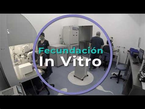 Fecundaci N In Vitro Fertyplace Youtube