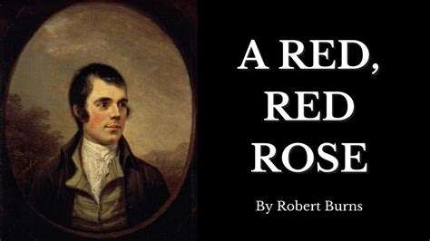 Best Love Peoms A Red Red Rose By Robert Burns YouTube