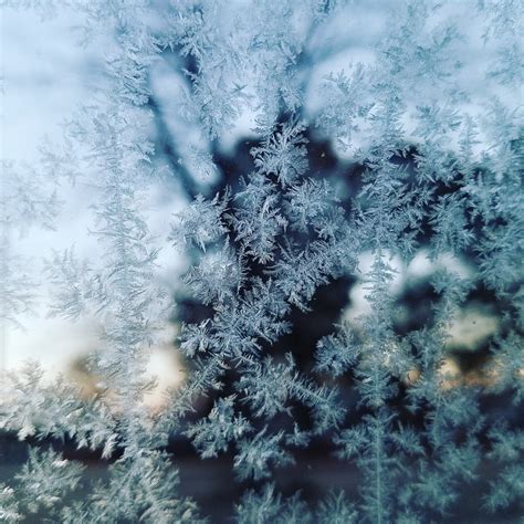 Crystals Winter Free Photo On Pixabay Pixabay