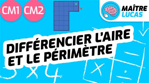 Différencier l aire et le périmètre pour CM1 CM2 Maître Lucas