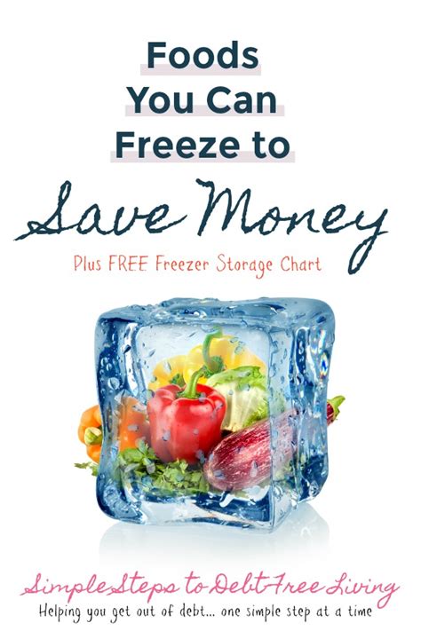 Foods You Can Freeze To Save Money Simple Steps To Debt Free Living