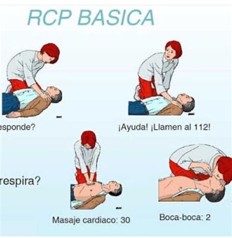 Pin de Angela María Carvajal en Enfermeria y Medicina Imagenes de