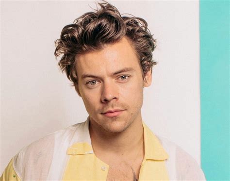Harry Styles Wzrost Waga Wymiary Kolor Oczu Biografia