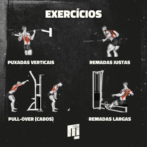 Treino De Costas O Guia Completo Para Hipertrofia Treino Costas