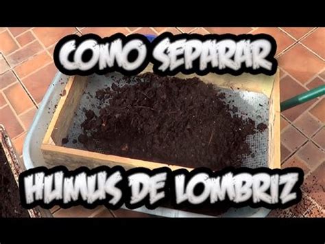 Como Separar El Humus De Lombriz Abono Organico La Huertina De