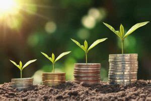 Conseils Pour Investir Apprendre Investir