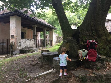Padre Scopa Sua Figlia Telegraph