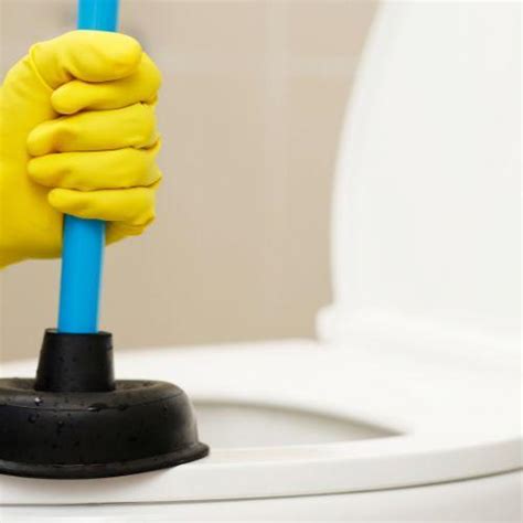 Déboucher les Toilettes avec une Ventouse Guide Pratique