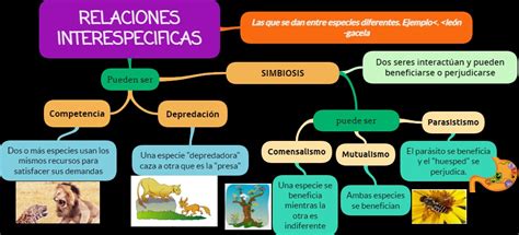 TOMi digital Relaciones Intra e interespecíficas
