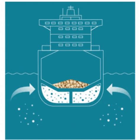 Ballast Water Management Stopping The Spread Of Invasive Species By