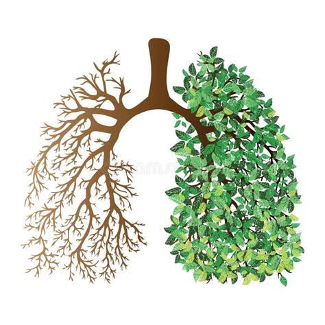 Human Lungs In Detail Anatomy Eps10 Vector Stock Illustration Hand