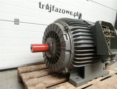 Silnik Elektryczny Kw Obr Min Celma Sg S Trojfazowe Pl